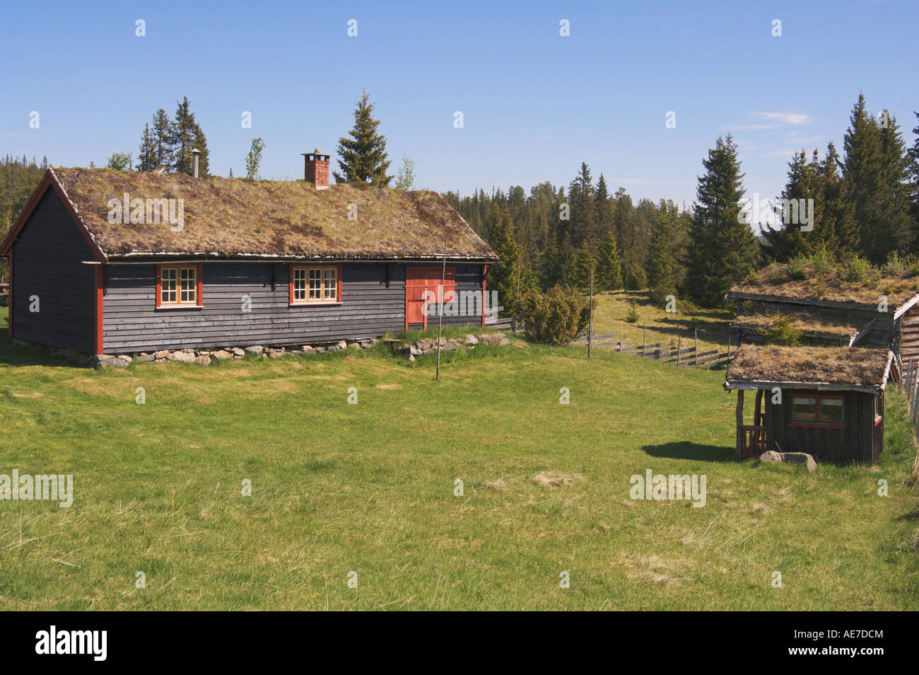 Seter High Resolution Stock Photography and Images - Alamy