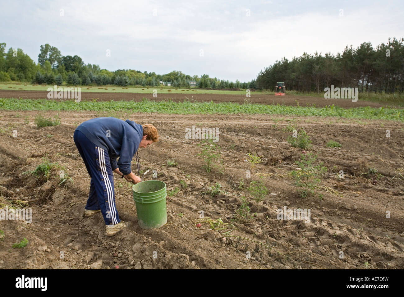 Community Supported Agriculture Stock Photo - Alamy