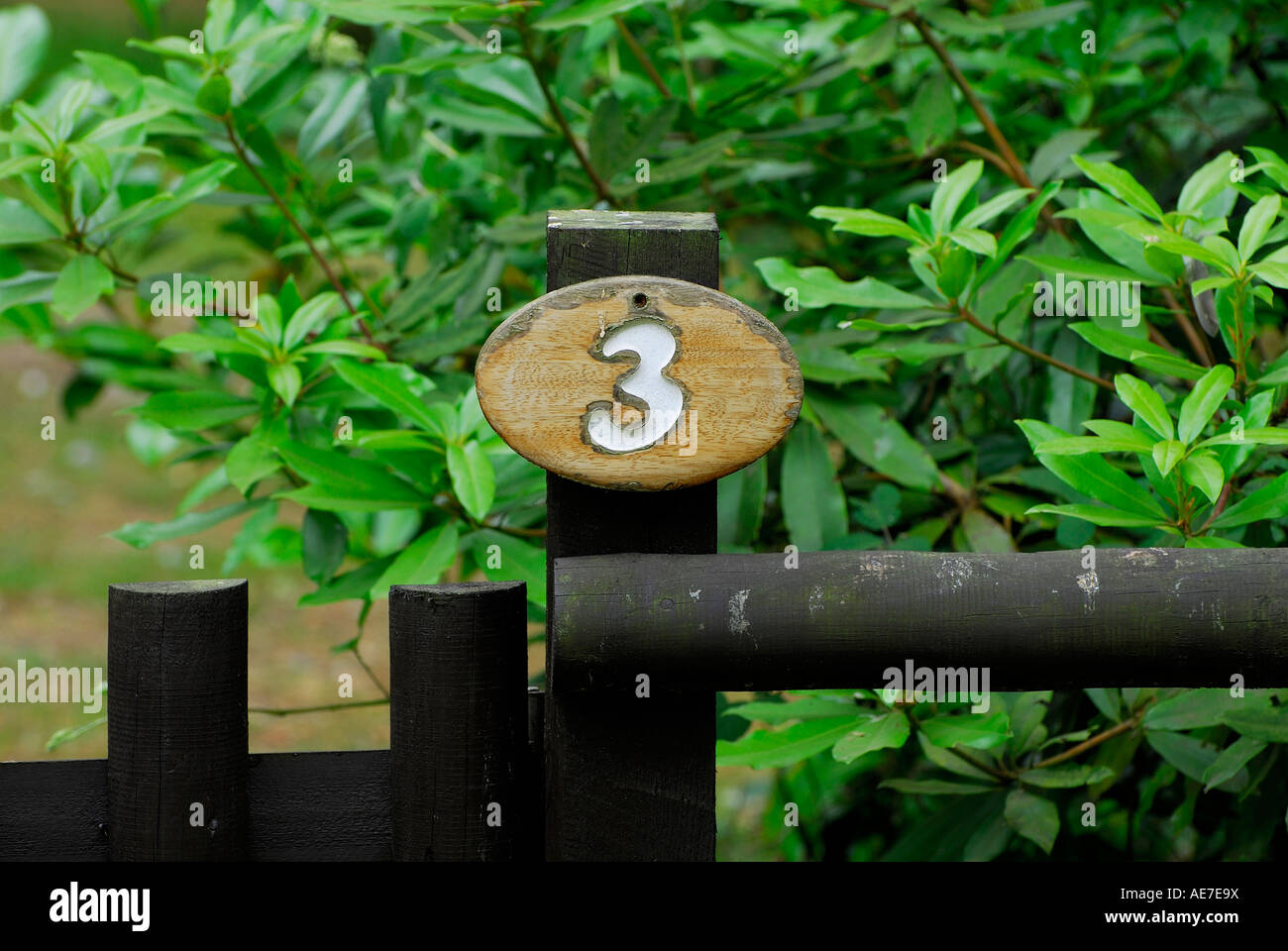 Hand Carved Plants High Resolution Stock Photography and Images - Alamy