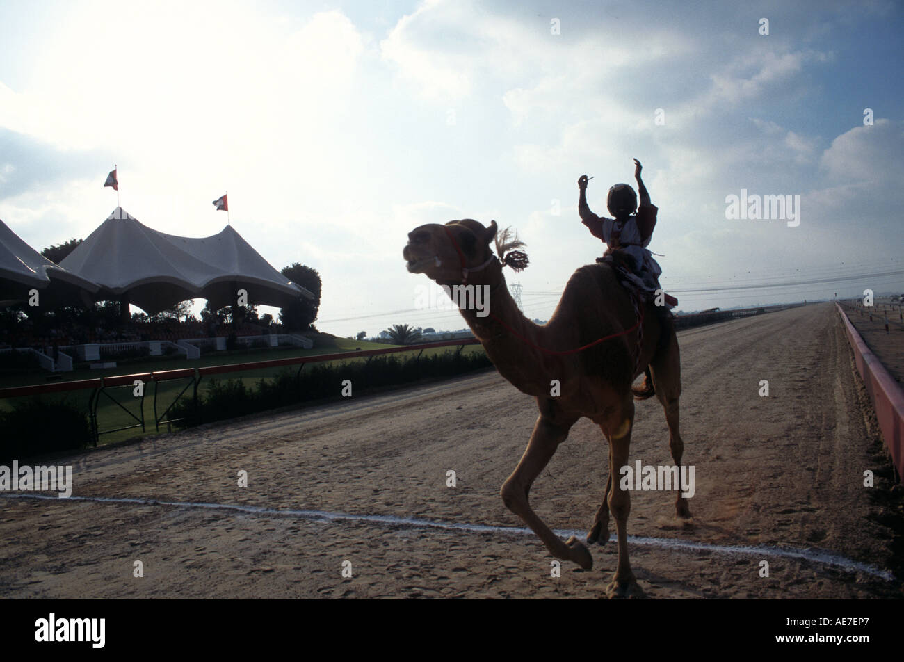 Camel Racing,The Winner Coming Passed The Winning Line, Dubai Nad Al ...