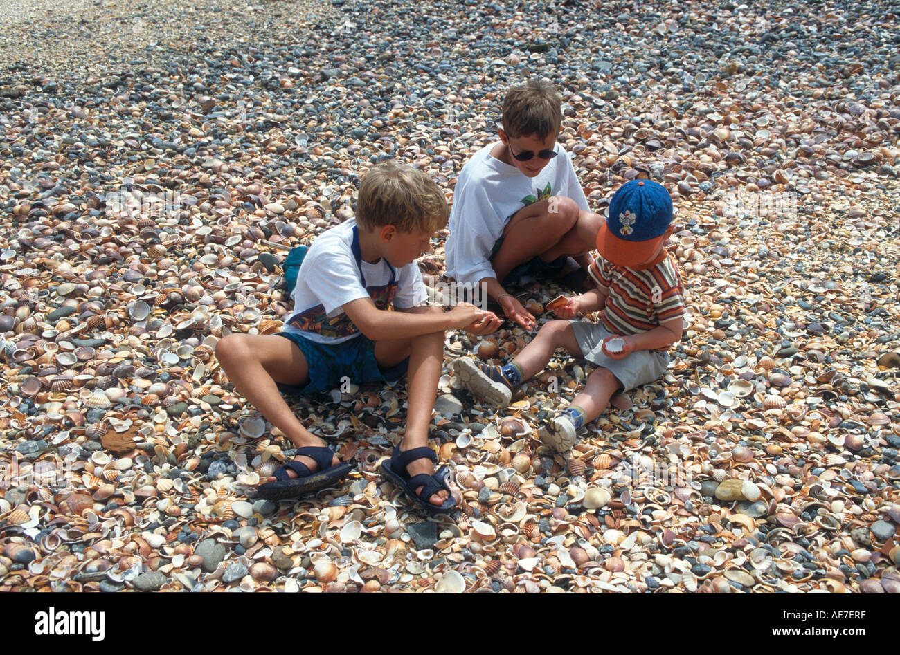Children Playing with Shells on Beach.Morocco.Africa Stock Photo - Alamy