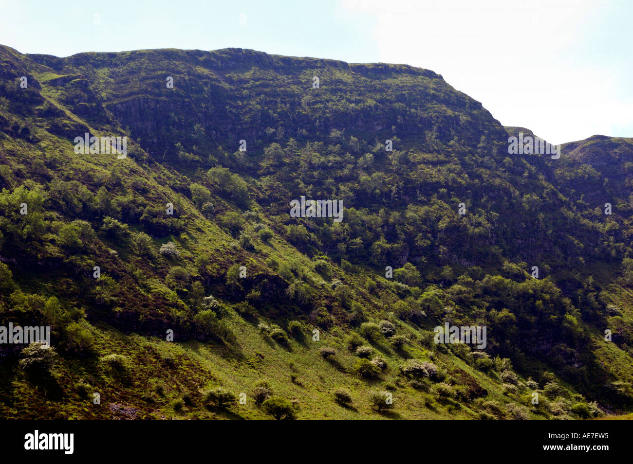 Craig Cerrig Gleisiad a Fan Frynych National Nature Reserve in the ...