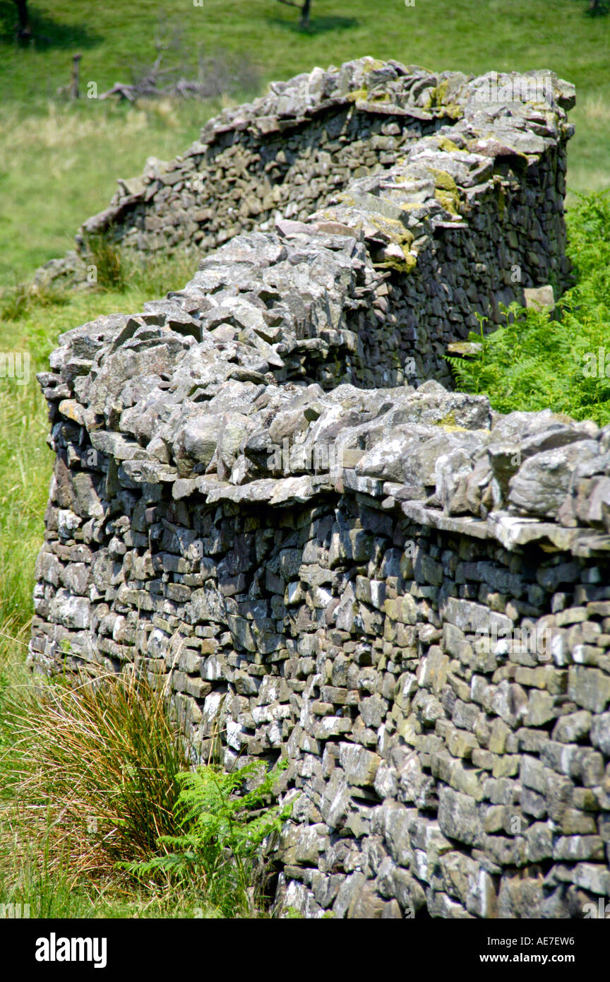 Dry stone boundary wall at Craig Cerrig Gleisiad a Fan Frynych National ...