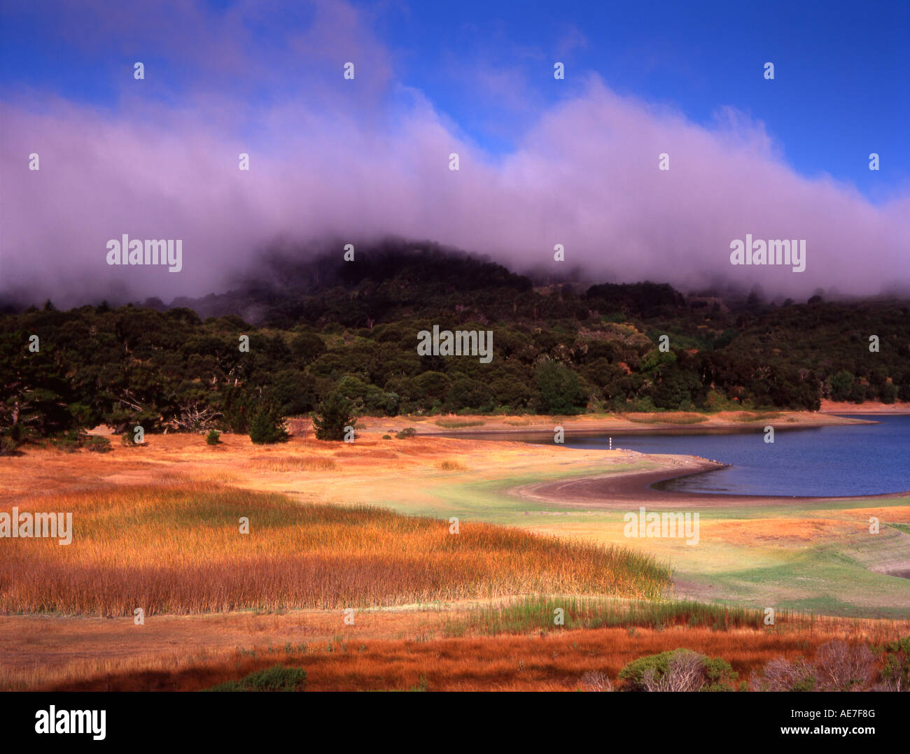 Crystal Springs Reservoir, San Mateo County, California Stock Photo - Alamy