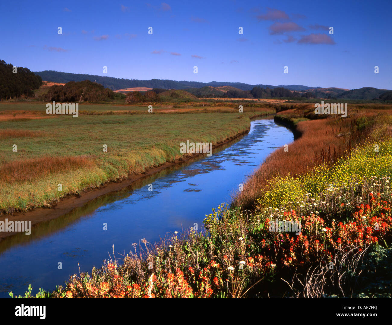 Pescadero marsh hi-res stock photography and images - Alamy