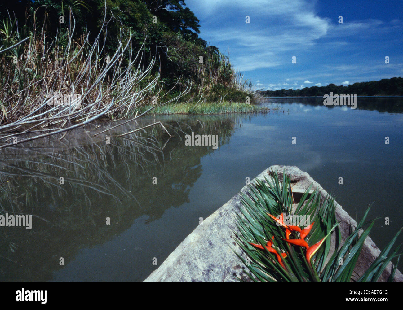 Canoe ride - Amazon basin, Beni, BOLIVIA Stock Photo - Alamy