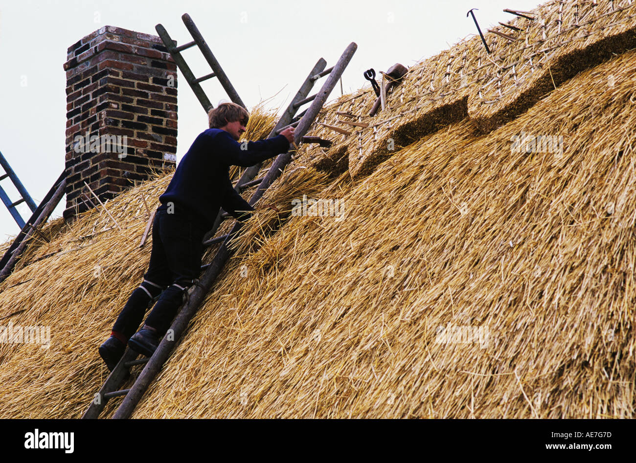 Traditional thatch roof nearing completion The ridge is reinforced with ...