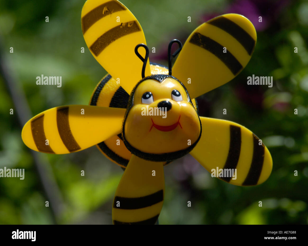 Fat bug hi-res stock photography and images - Alamy