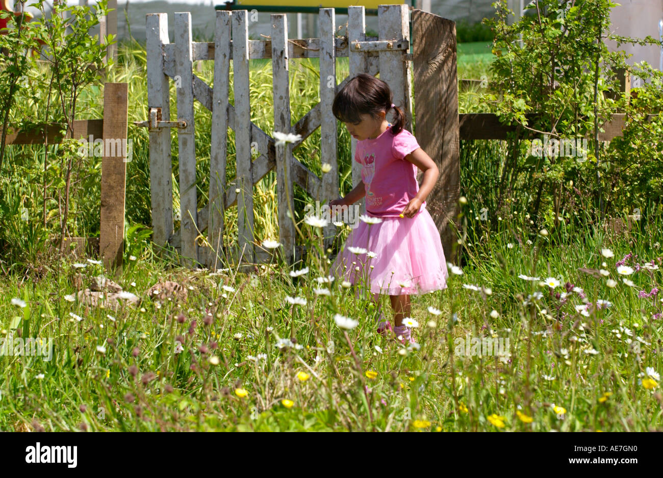 Young girl playing in the sun in Wiggly Wigglers Wildflower garden at ...