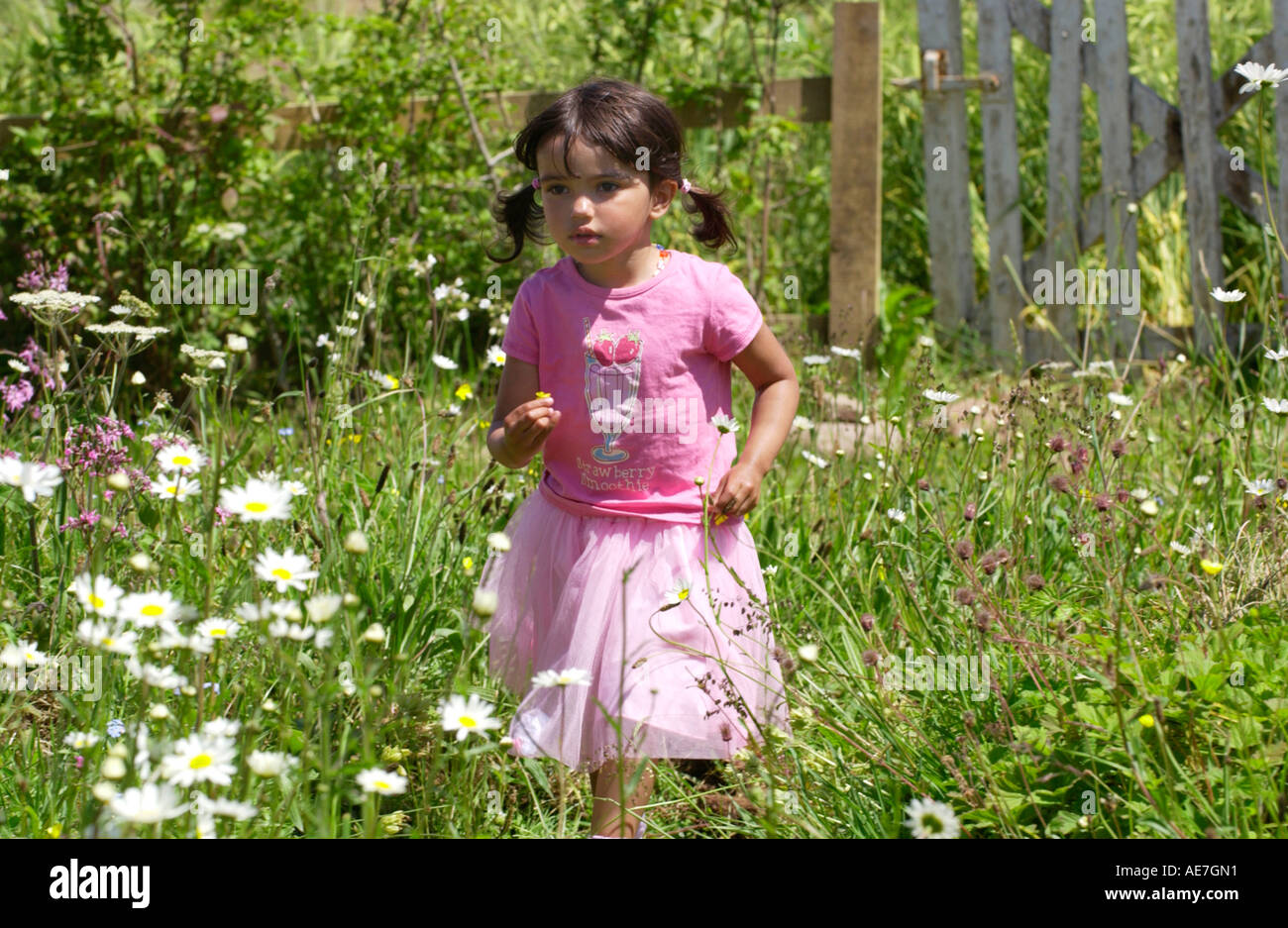 Young girl playing in the sun in Wiggly Wigglers Wildflower garden at ...