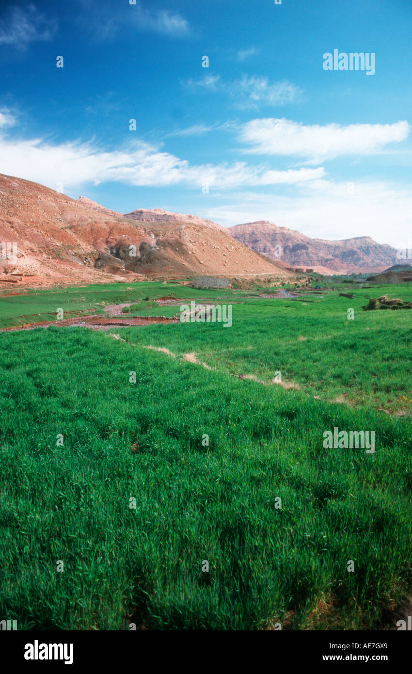 Draa Valley,Atlas Region Morocco,Africa Stock Photo - Alamy