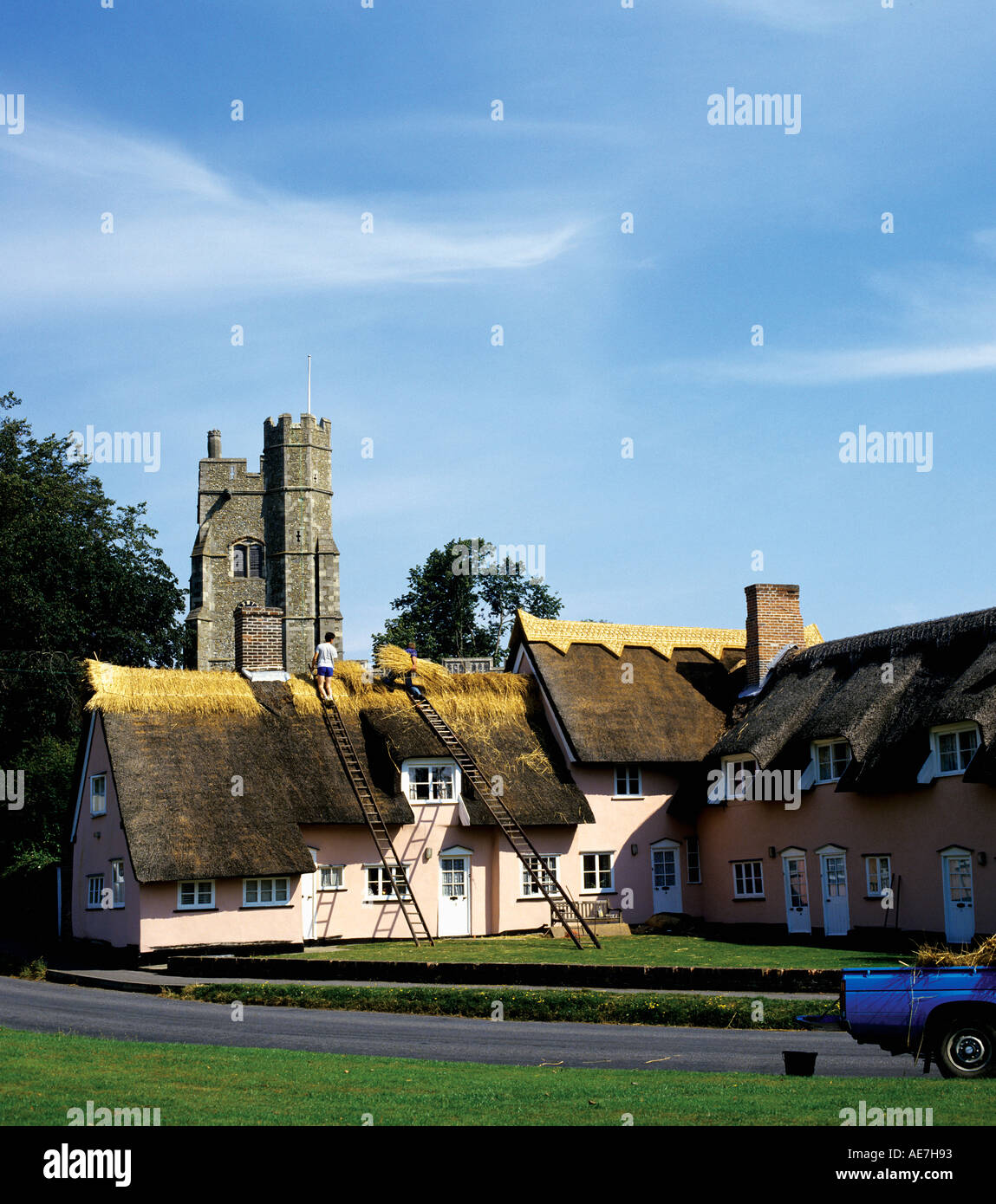 Replacing the ridge of a roof thatched with Norfolk Reed should extend ...