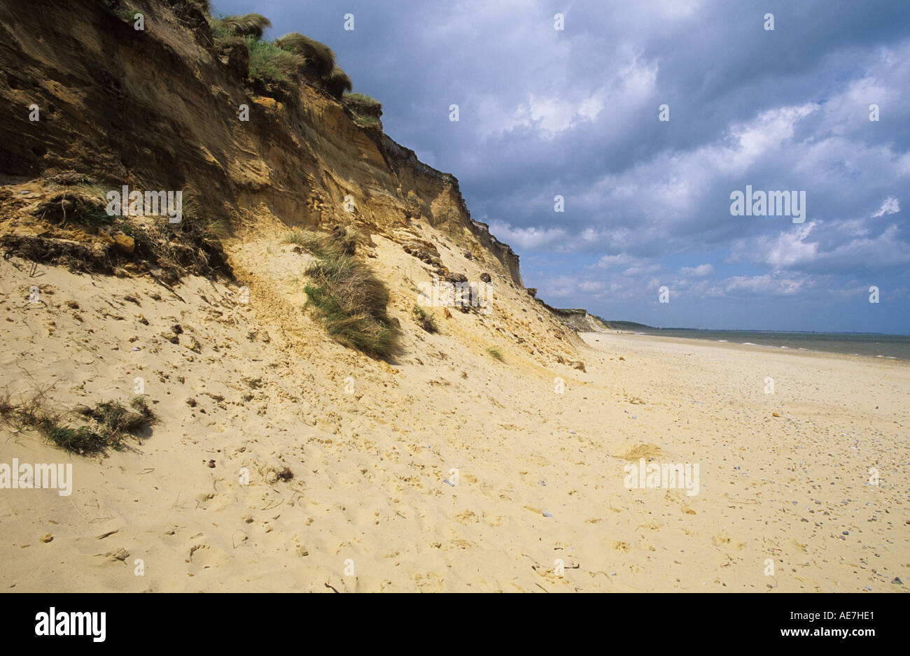 Sand beach below the crumbling cliffs of Dunwich Heath Suffolk National ...