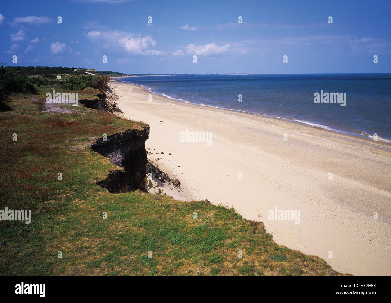 Clean sandy beach below the receding cliffs of Dunwich Heath Cliff top ...
