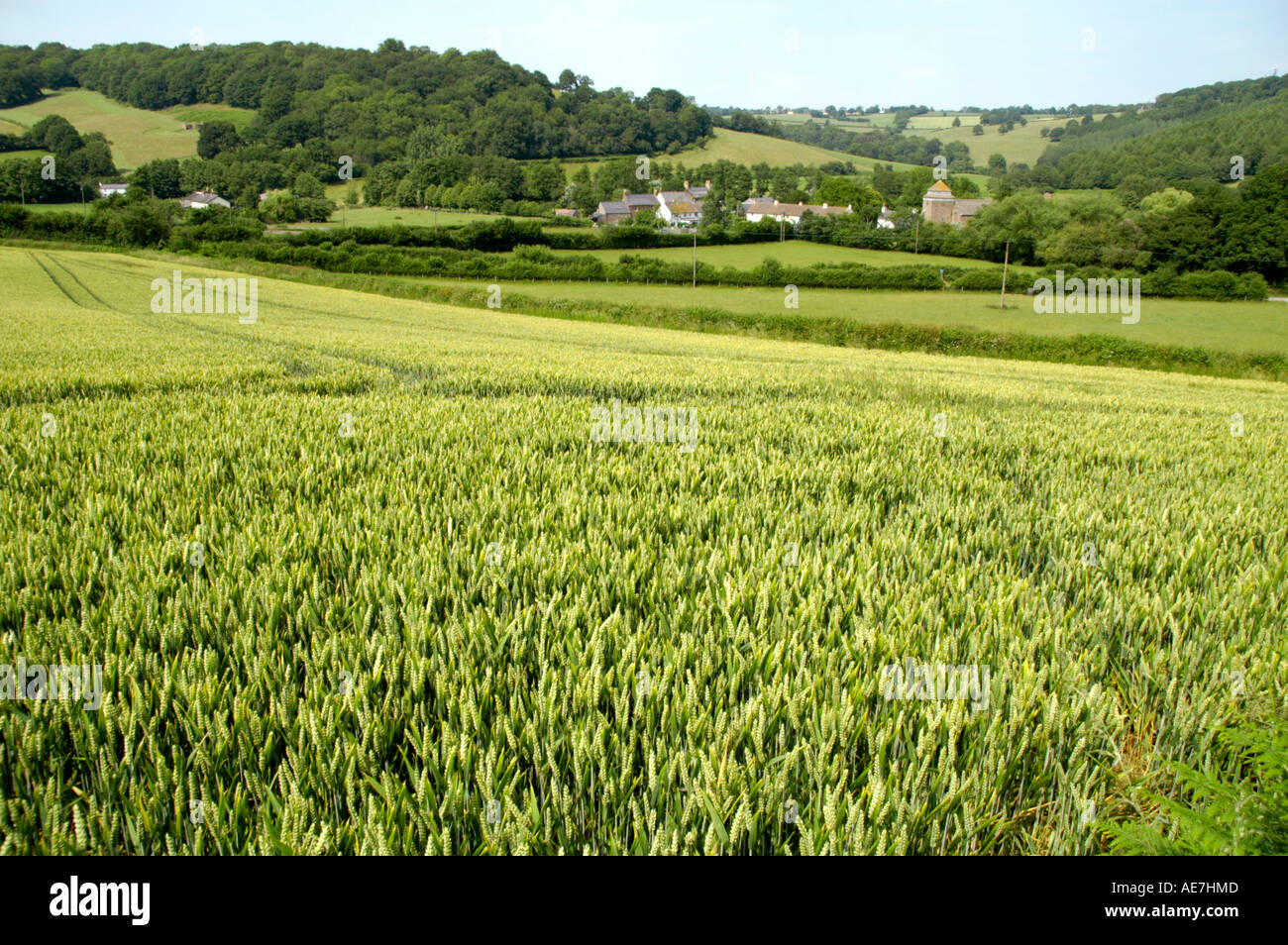 Fields countryside crops farming agriculture rural farm wales hi-res ...