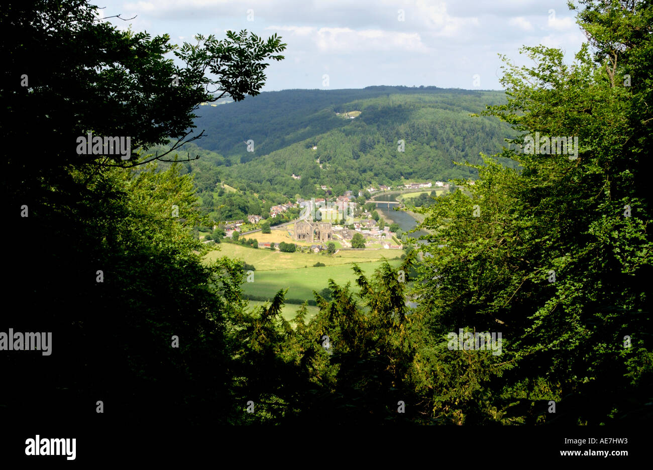 View of Tintern Abbey in lower Wye Valley Monmouthshire South East ...
