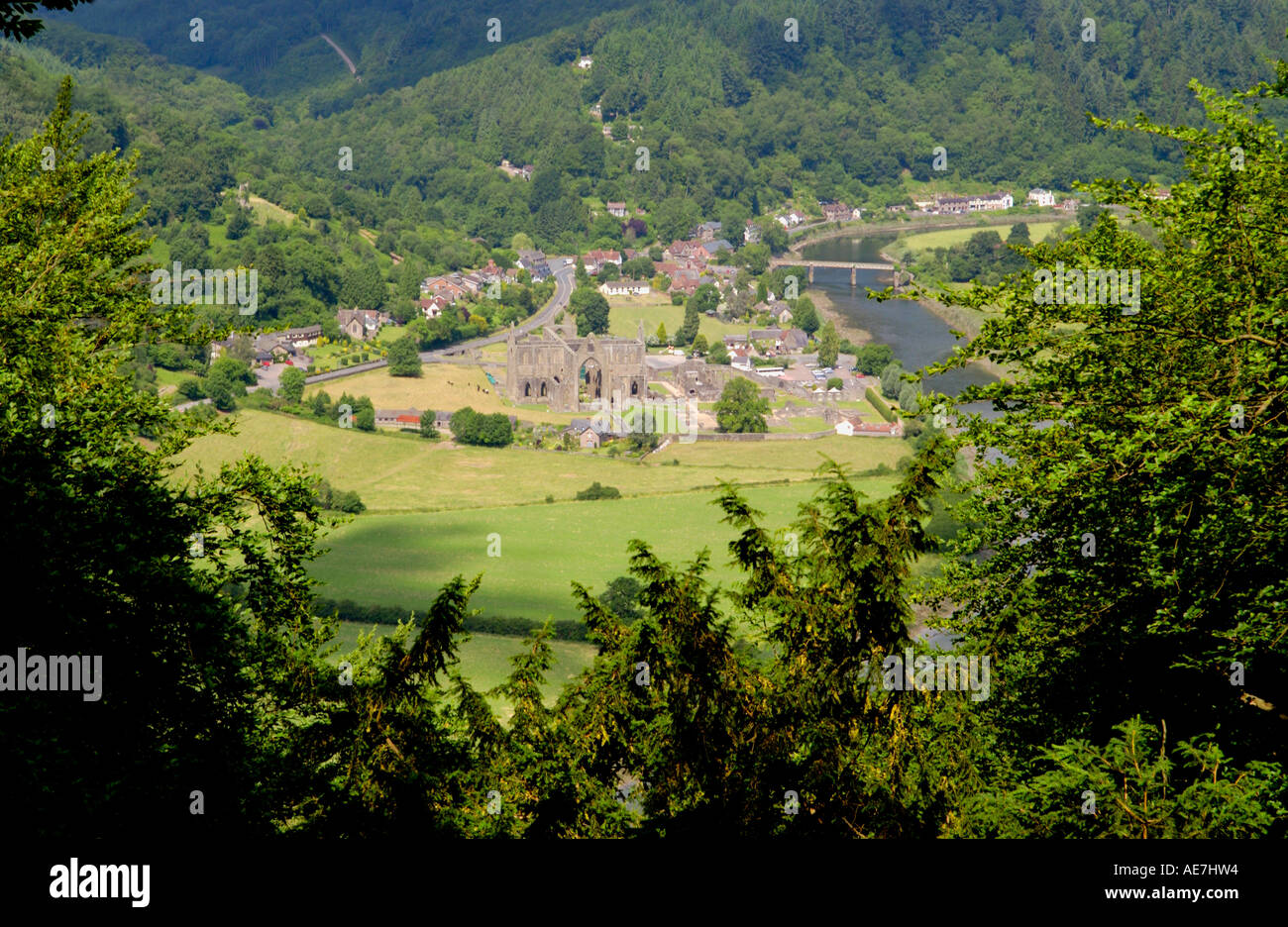 View of Tintern Abbey in lower Wye Valley Monmouthshire South East ...