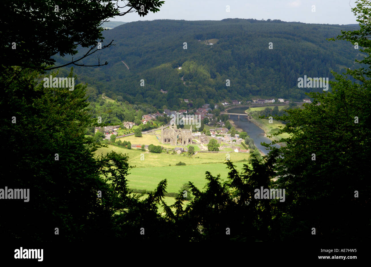 View of Tintern Abbey in lower Wye Valley Monmouthshire South East ...