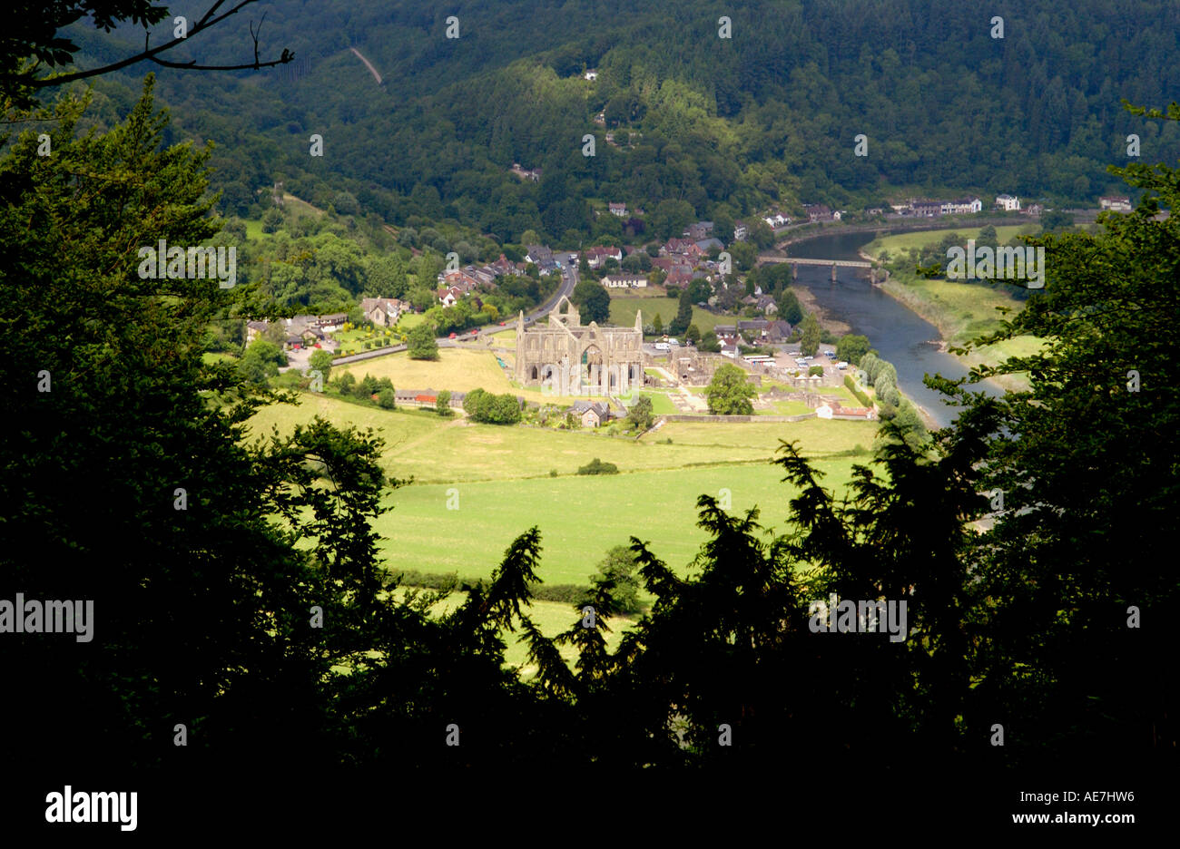 View of Tintern Abbey in lower Wye Valley Monmouthshire South East ...
