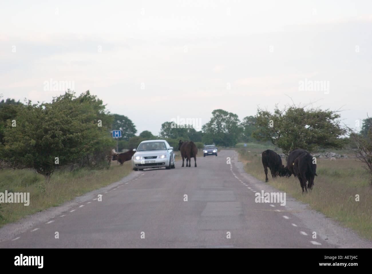 Obstacle impediment obstruction roadblock hi-res stock photography and ...