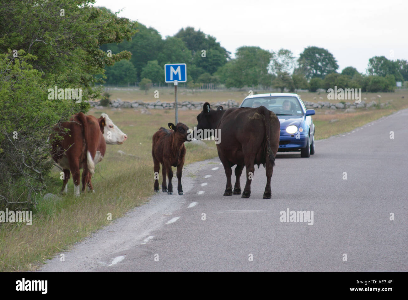 Obstacle impediment obstruction roadblock hi-res stock photography and ...