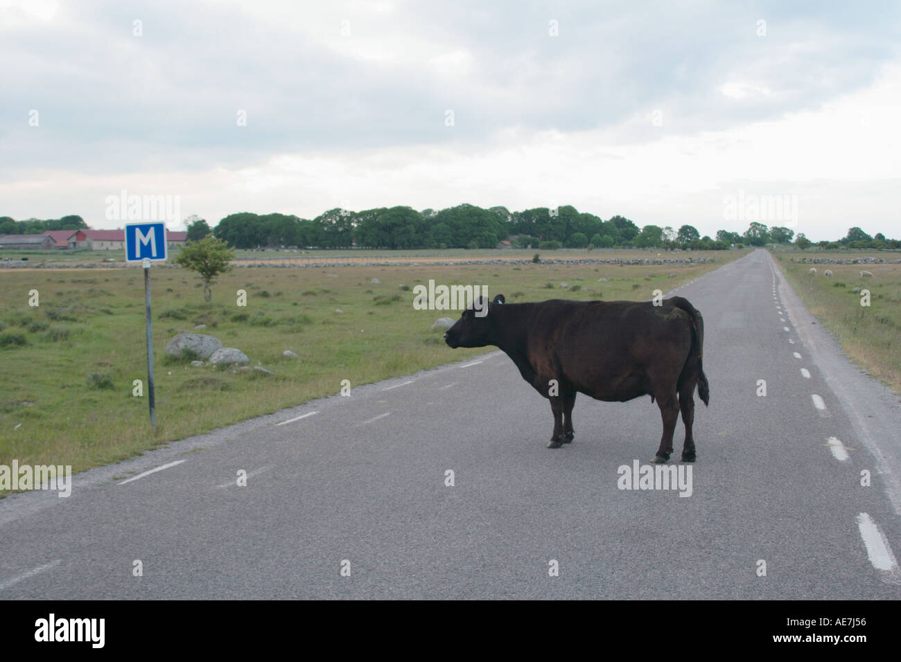 Obstacle impediment obstruction roadblock hi-res stock photography and ...