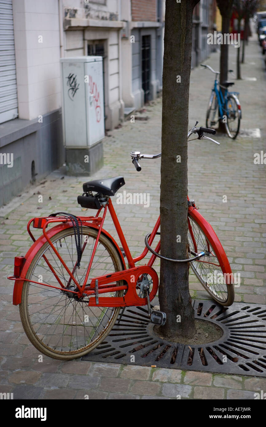 Red bicycle locked to tree on pavement Stock Photo - Alamy