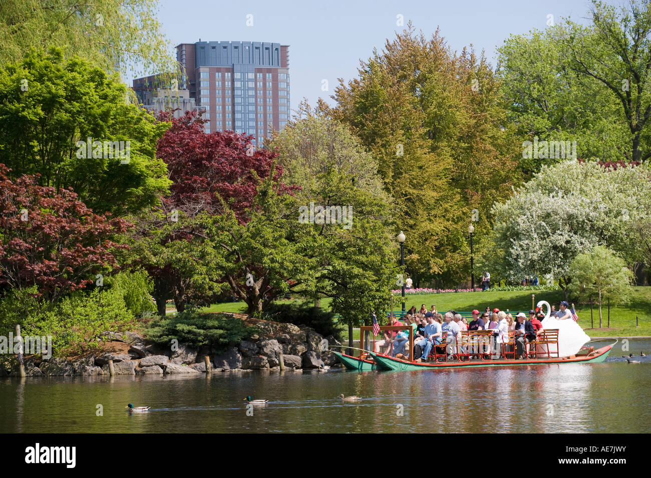 Boston lake hi-res stock photography and images - Alamy