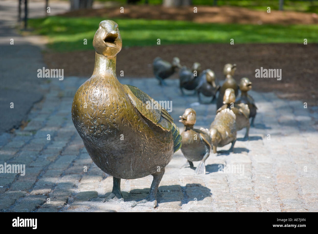 Make Way For Ducklings Statue Stock Photos & Make Way For Ducklings ...