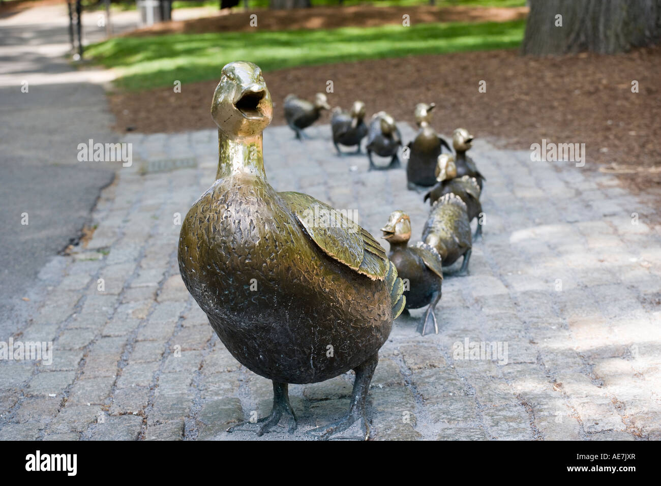 USA Massachusetts Boston common statue of ducks from the book make way ...
