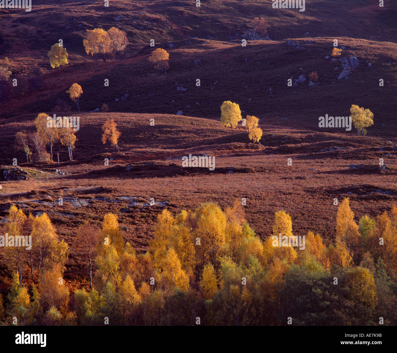 Hill kinloch rannoch perthshire hi-res stock photography and images - Alamy