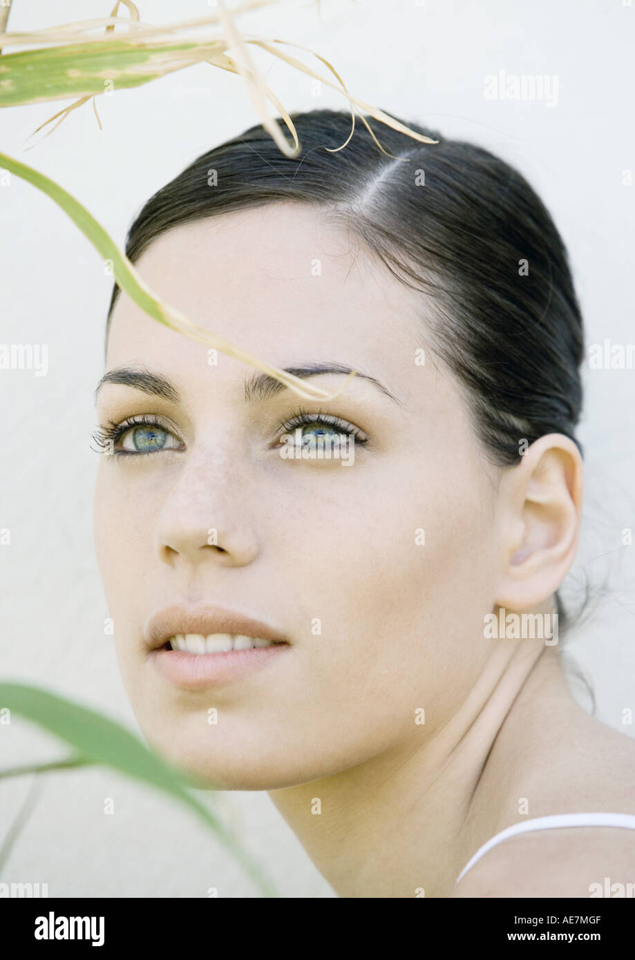 Individual grass blades hi-res stock photography and images - Alamy