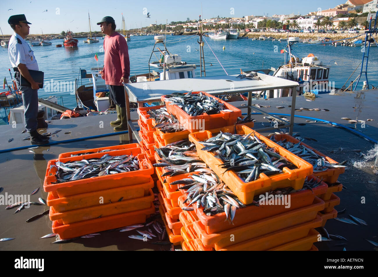 Fishing boats Lagos Algarve Portugal Stock Photo - Alamy