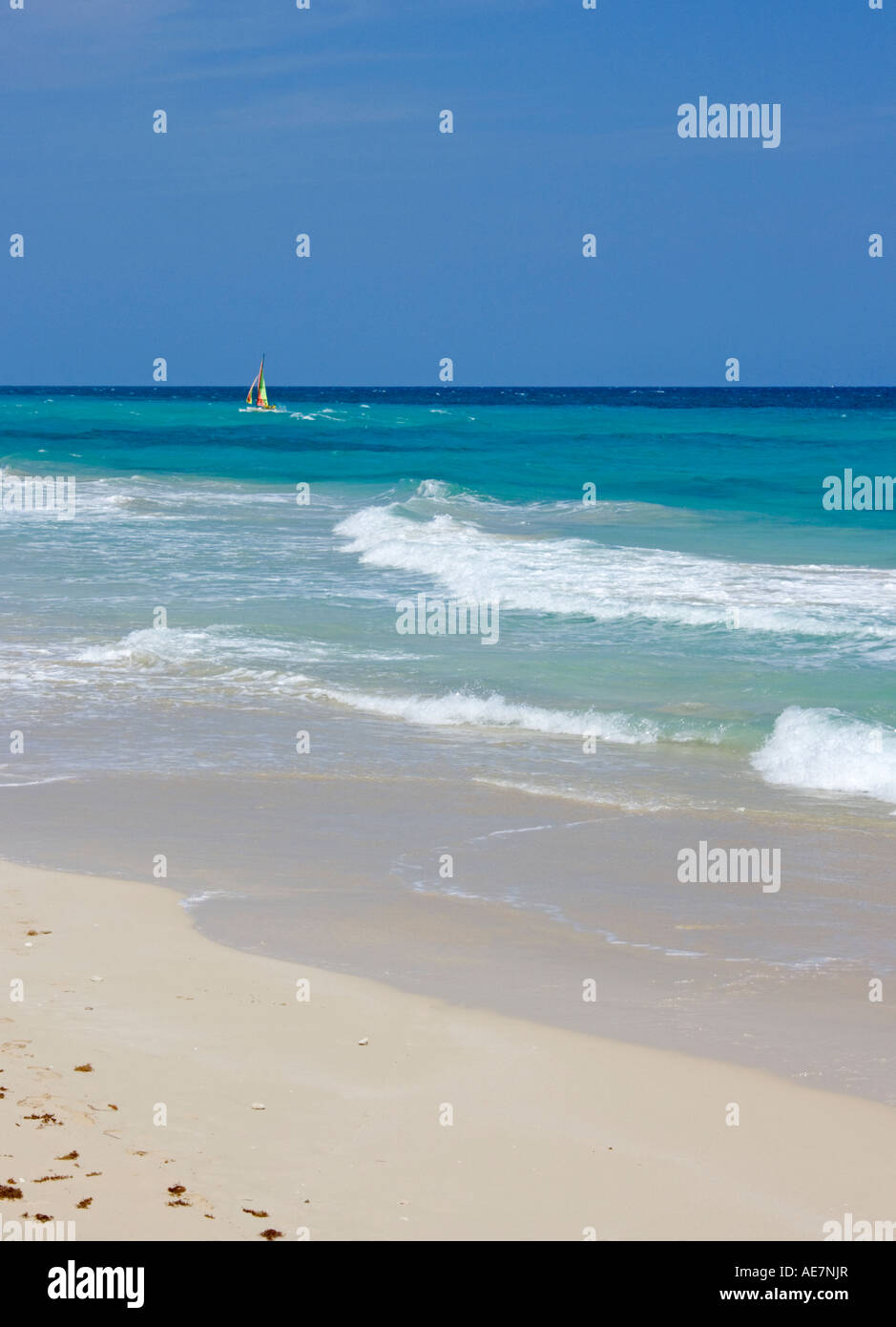 Windsurfer off Playas del Este beach at Santa Maria del Mar, near ...