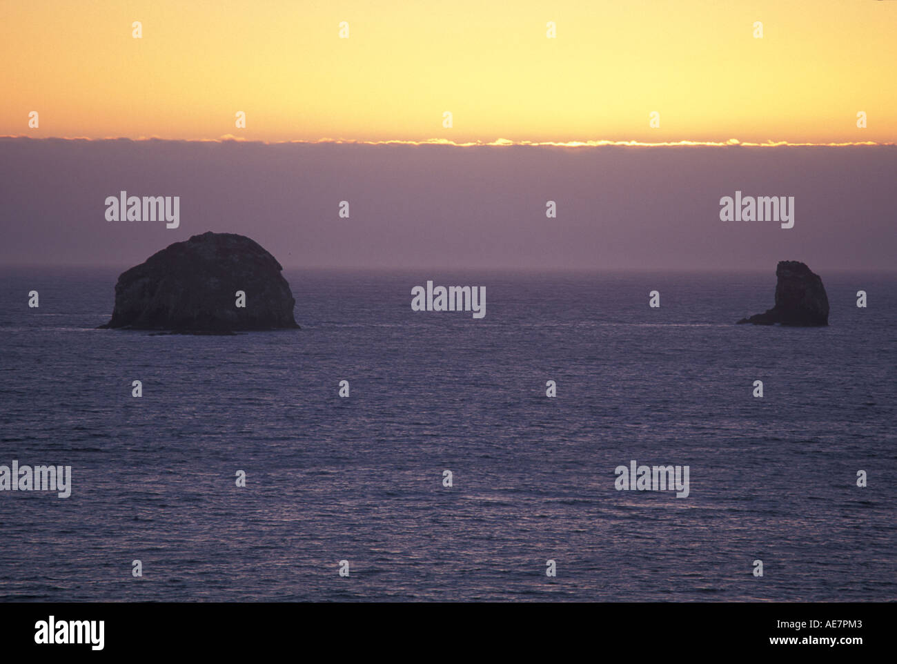 Port Orford OR Oregon Coast Pacific Ocean Sea stacks Stock Photo - Alamy