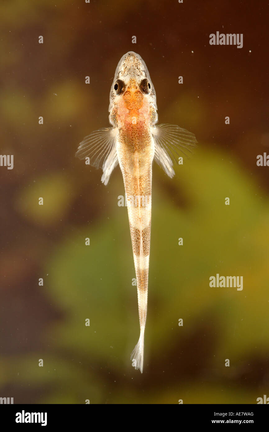 20 mm hi-res stock photography and images - Alamy