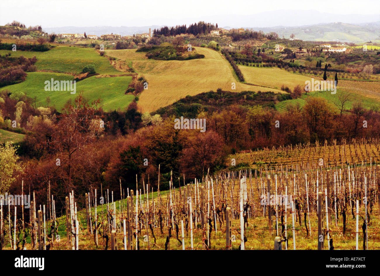 hillly landscape of the Tuscany, Italy, Toscana, Colle di Val d Elsa ...