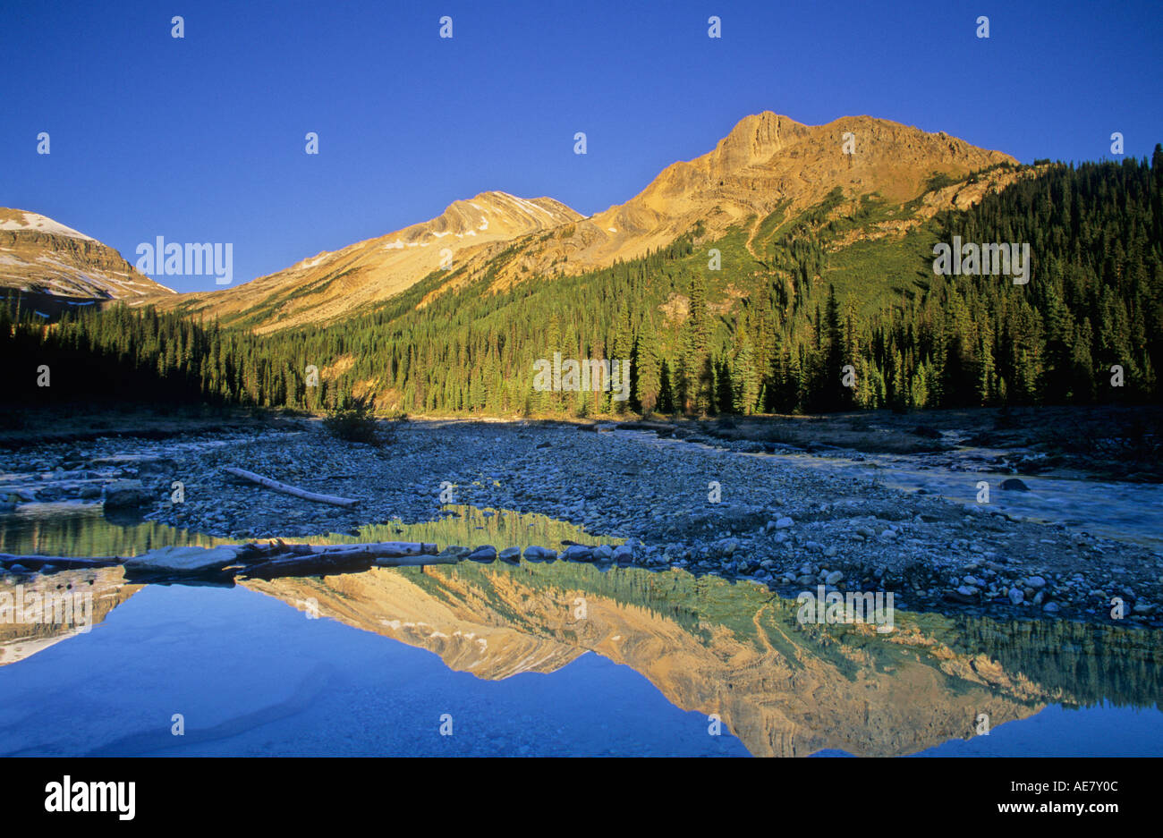 Little yoho river valley yoho hi-res stock photography and images - Alamy