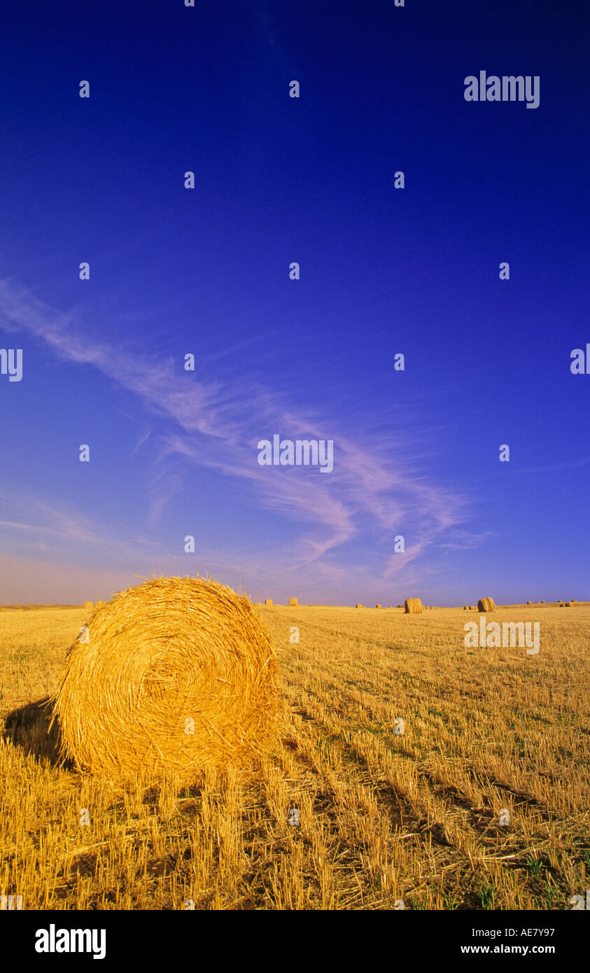 Hayfields autumn blue sky hi-res stock photography and images - Alamy