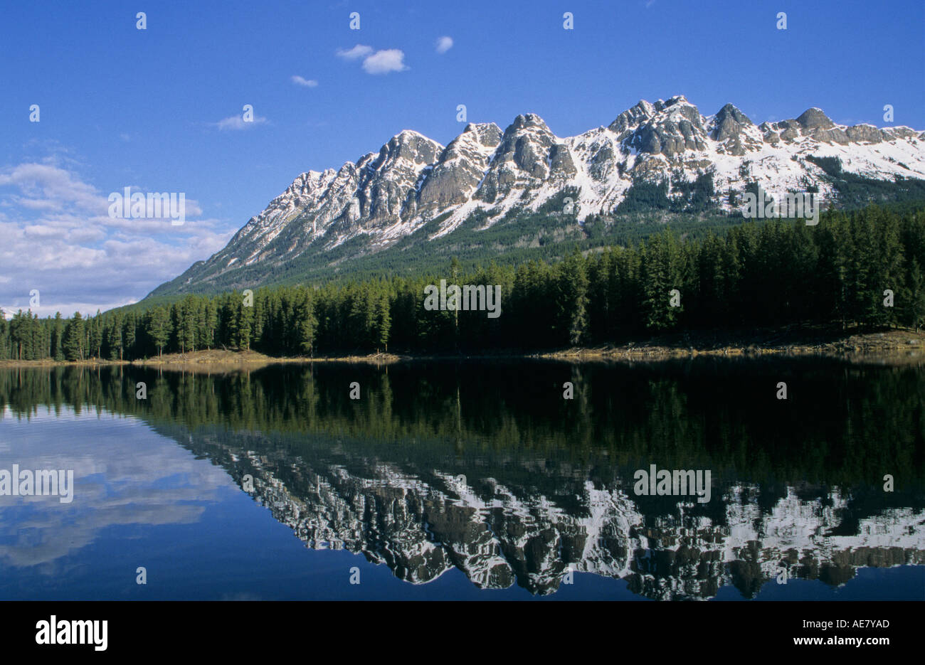 Yellowhead lake hi-res stock photography and images - Alamy