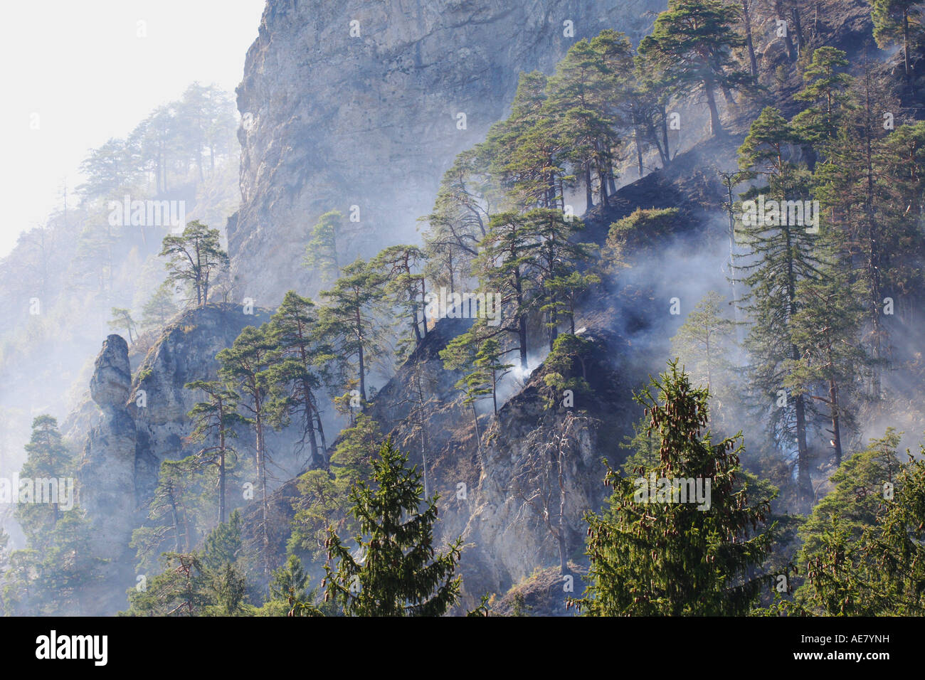 forest fire in the Alps, Germany, Bavaria, Thumsee, Bad Reichenhall ...