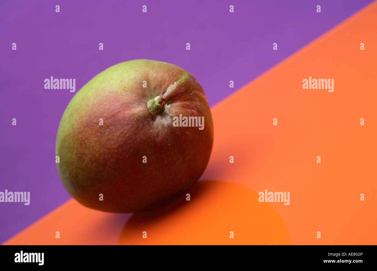 mango (Mangifera indica), single fruit in front of an orange and purple ...