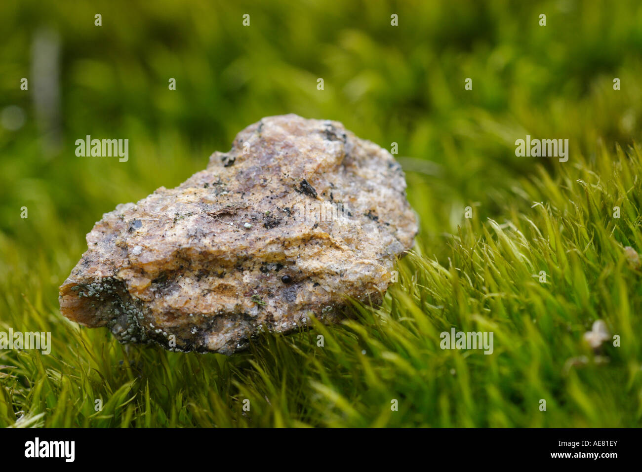 Small granite rock on grass Stock Photo - Alamy