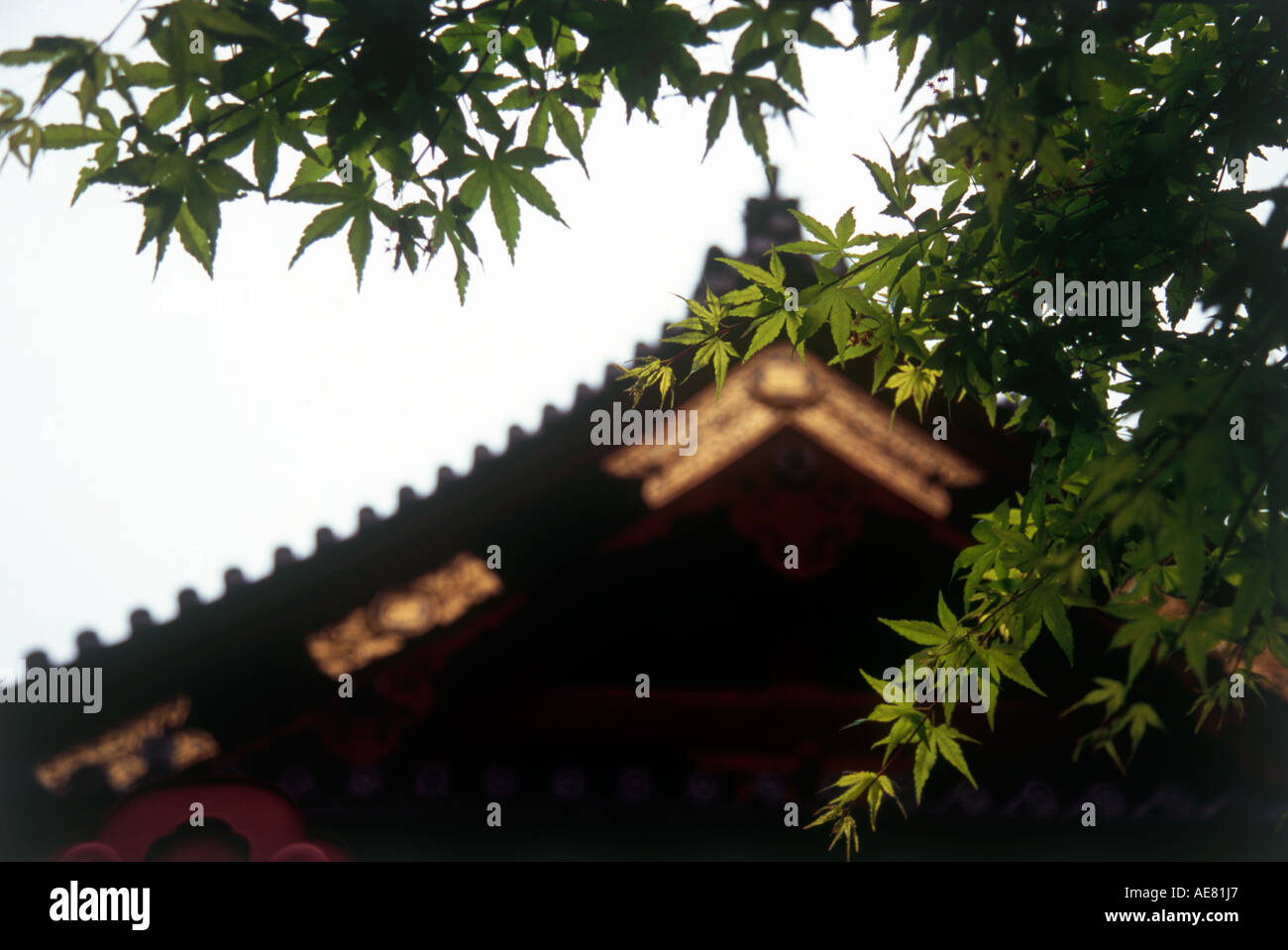 Temple and Tree Stock Photo - Alamy