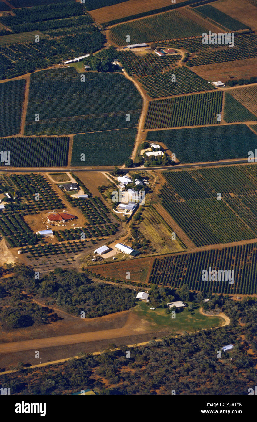 Murray River and irrigated farmland, “South Australia” Stock Photo - Alamy