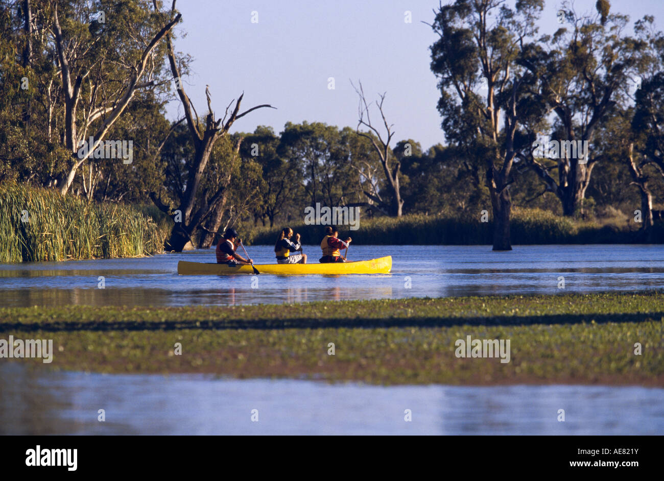 Canoeing, Murray Riverland, South Australia Stock Photo - Alamy