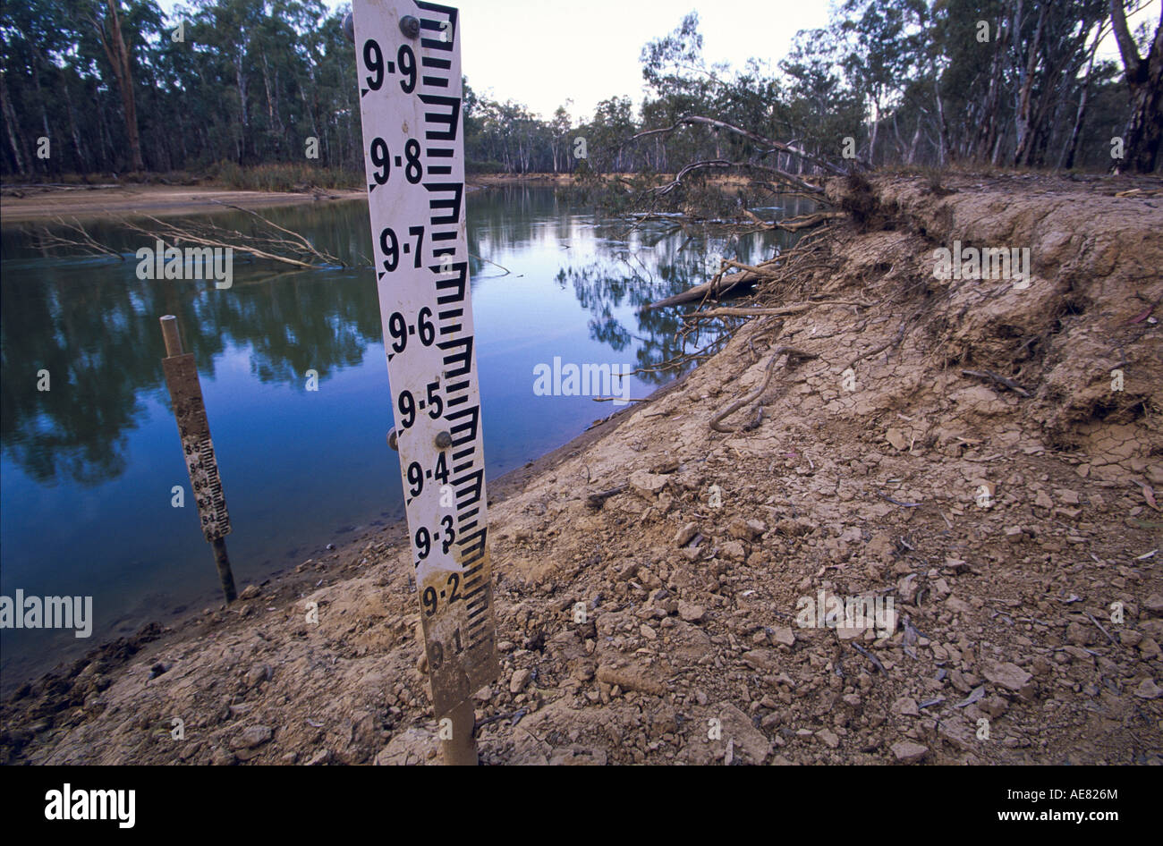 Flood marker along Murray River” Australia, horizontal Stock Photo - Alamy