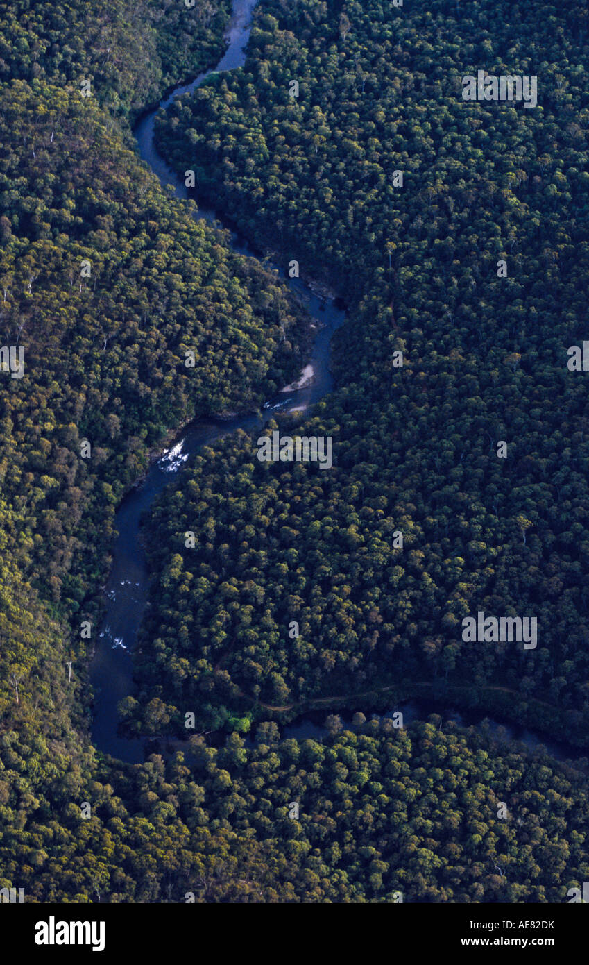 Murray River in forest Victoria, Australia, vertical Stock Photo - Alamy