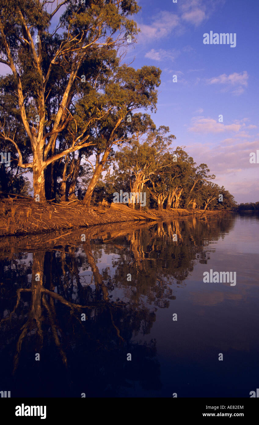 Murray river australia hi-res stock photography and images - Alamy