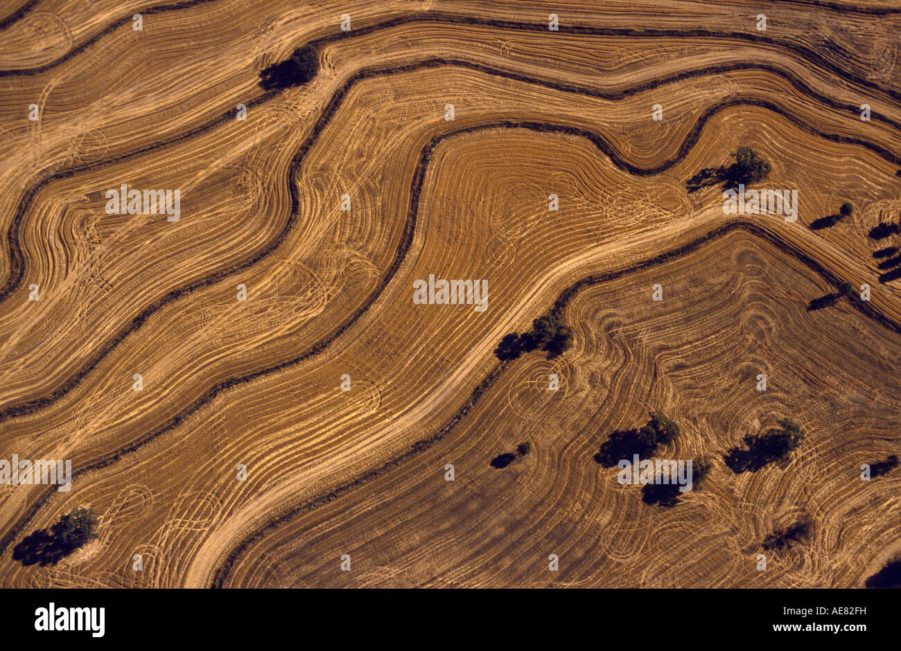 Rice farming australia hi-res stock photography and images - Alamy